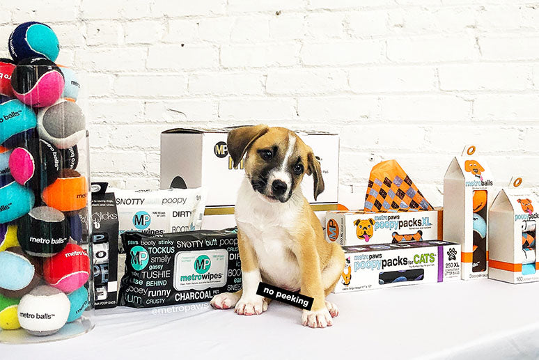 All Products | Metro Paws Nature-Inspired Pet Essentials – THE PAW SHOP