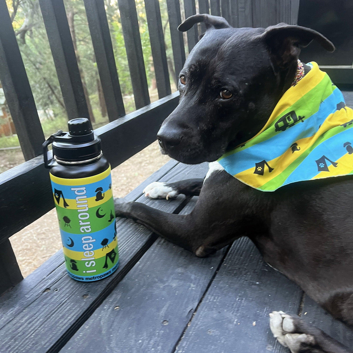 For the Humans – The Metro Paws Shop