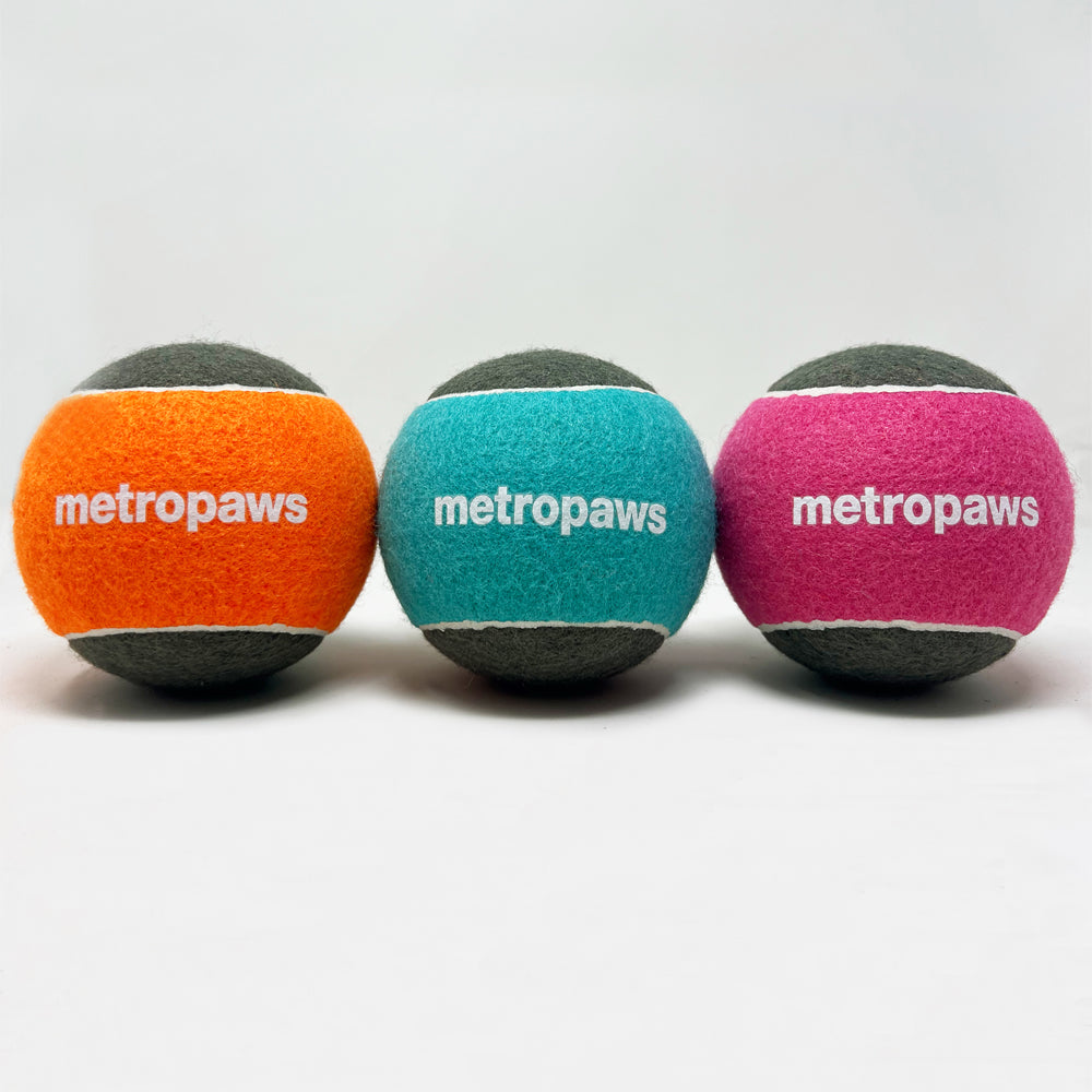 Metro Paws XL 4" Squeaker Tennis Balls® – The Metro Paws Shop